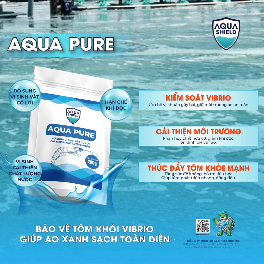 AQUA PURE – Giải Pháp Tối Ưu Kiểm Soát Vibrio và Bảo Vệ Ao Tôm