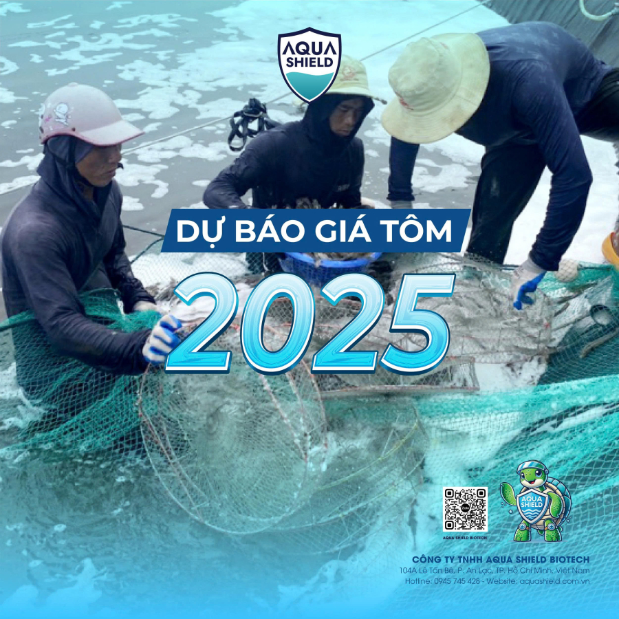Dự Báo Thị Trường Tôm Quý 4 Cuối Năm 2025